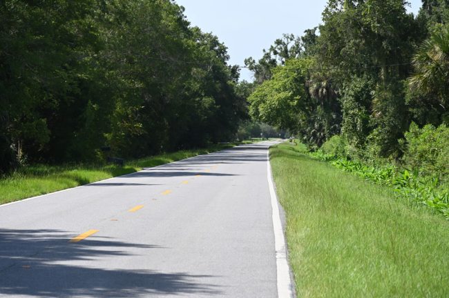 Car Strikes and Kills 81-Year-Old Pedestrian on County Road 305
