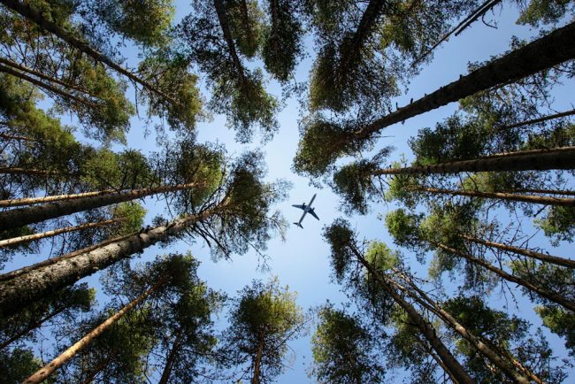 The Search for Sustainable Aviation Fuels Is on Chopping Block ...