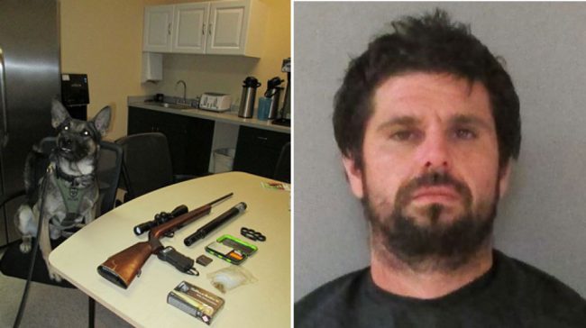 Broken Taillight Leads to Sex Offender Out on Bond, In Possession of ...