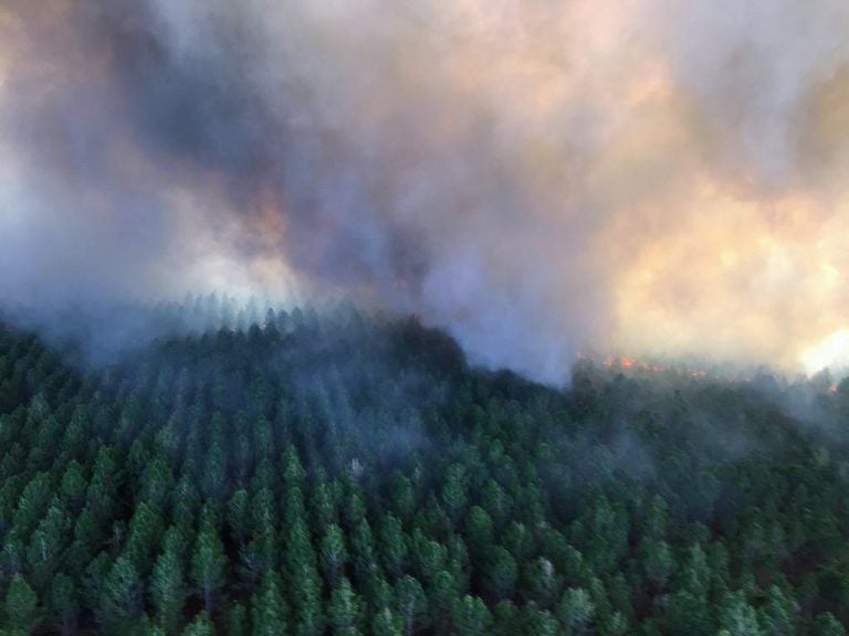 Thousand-Acre Wildfire Started As Controlled Burn in Putnam, Spread To ...