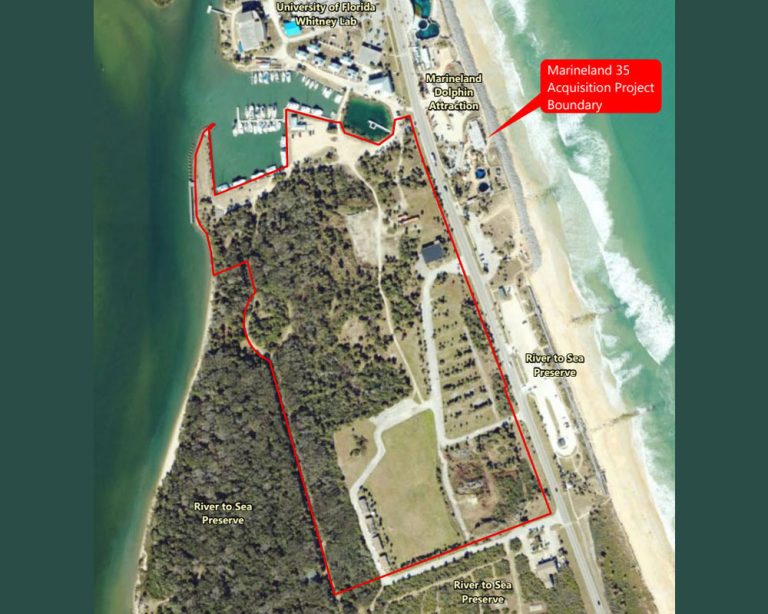 Jacoby’s JDI Development Seeks to Offload 35 Acres in Marineland