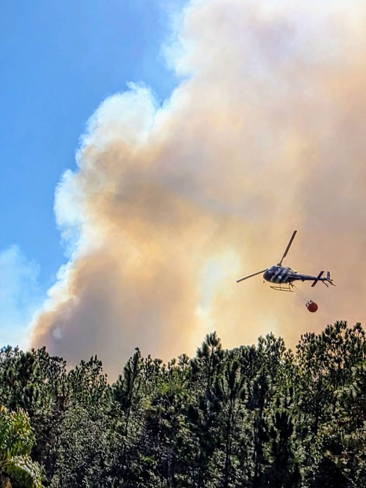 No Structures Lost in 170-Acre Flagler Wildfire Near US1