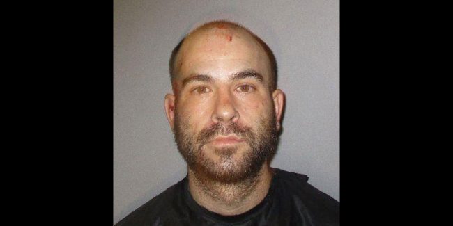 Palm Coast Man Clashes With Deputies Before Being Subdued in Volatile ...