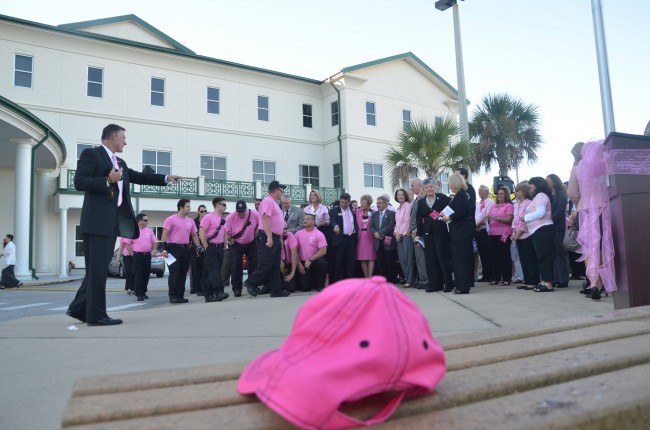 Pink Army's Cancer-Whipping Flags Rise Over Flagler as Awareness ...