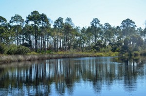 In 4-1 Vote, County Seals Agreement to Build Tourist-Ready Cottages at ...