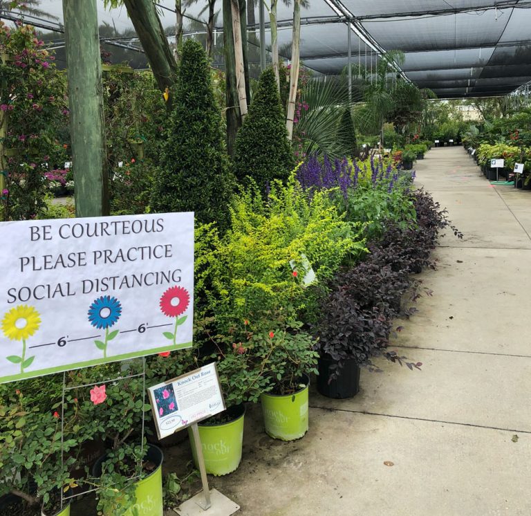 Verdego Garden Center, Palm Coast Government, School Board and County ...