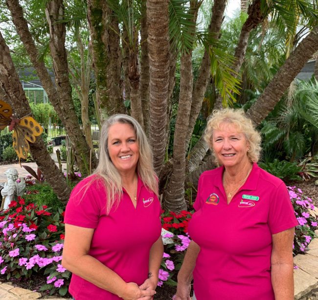 Verdego Garden Center, Palm Coast Government, School Board and County ...