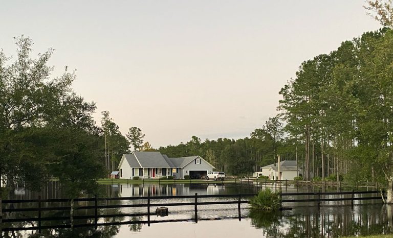 Hurricane Milton's Flagler-Palm Coast Path in Pictures