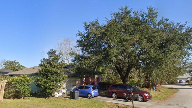 Palm Coast Couple Faces Felony Charges After Toddler and Elderly ...